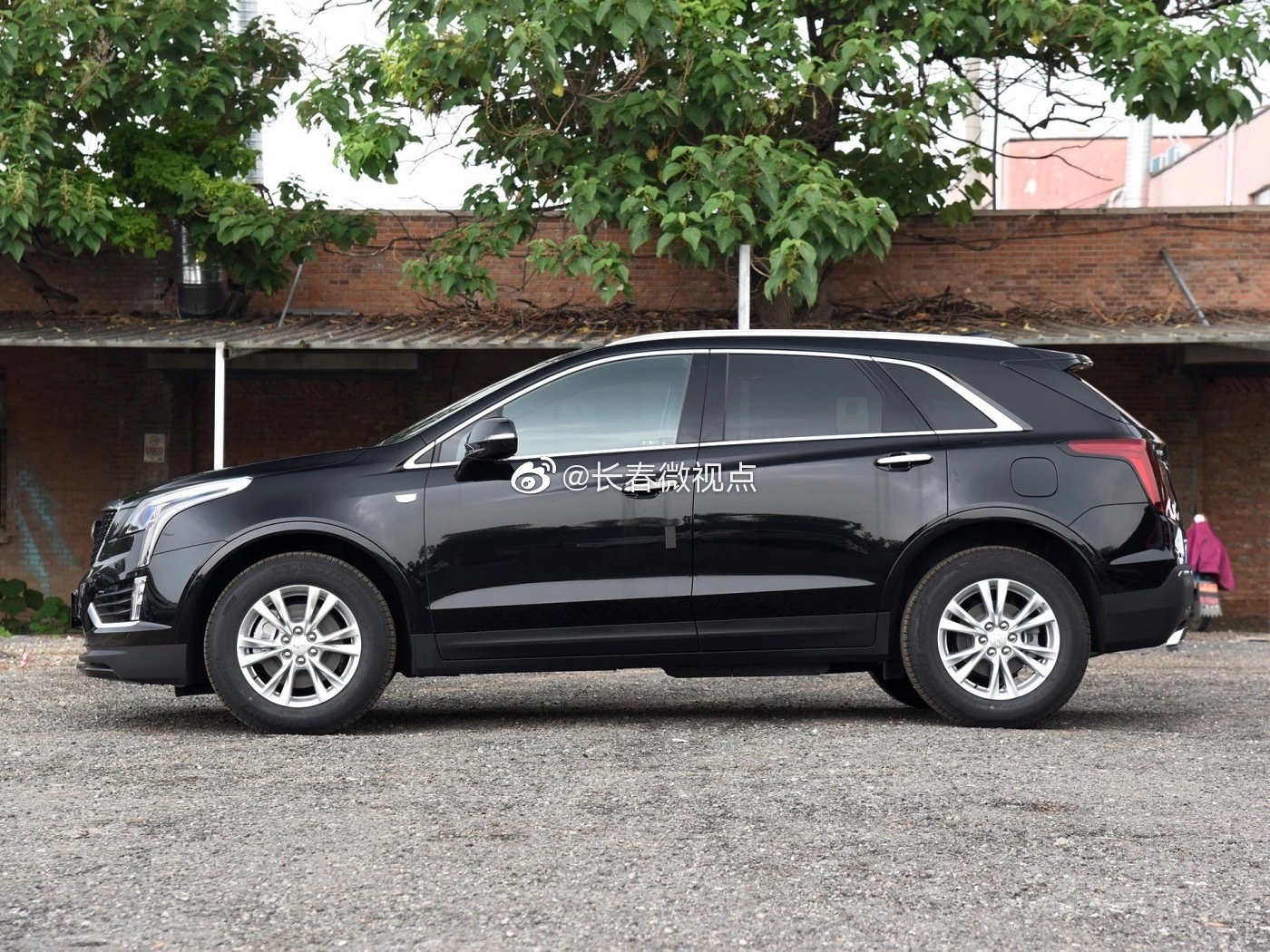 网友：看了奥迪Q5L和凯迪拉克XT5，不知道这两个车怎么选-新浪汽车