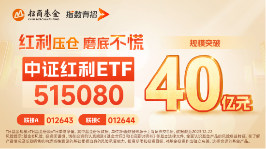 資金加速佈局，中證紅利ETF（515080）近10日累計吸金4.2億元，年內份額激增3倍！2024高股息策略或仍占優 - 新浪香港