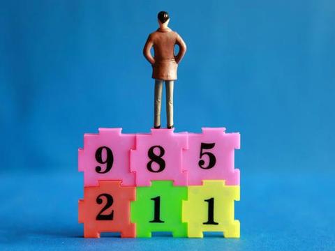 985、211就能横扫大厂offer？对不起，我们只要双一流|大厂|毕业生|学历_新浪新闻