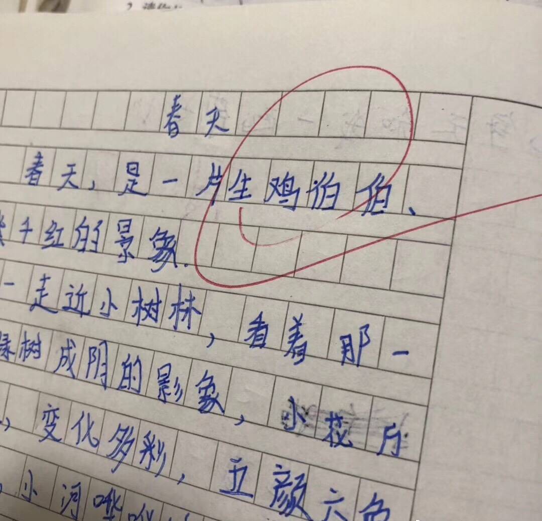 小学生爆笑作文!论搞笑,他们才是最有天赋的 作文 小学生 爆笑 新浪新闻