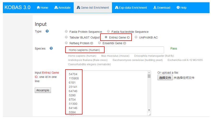 GO、KEGG富集分析——DAVID与KOBAS在线分析工具|分析工具|基因|通路_新浪新闻