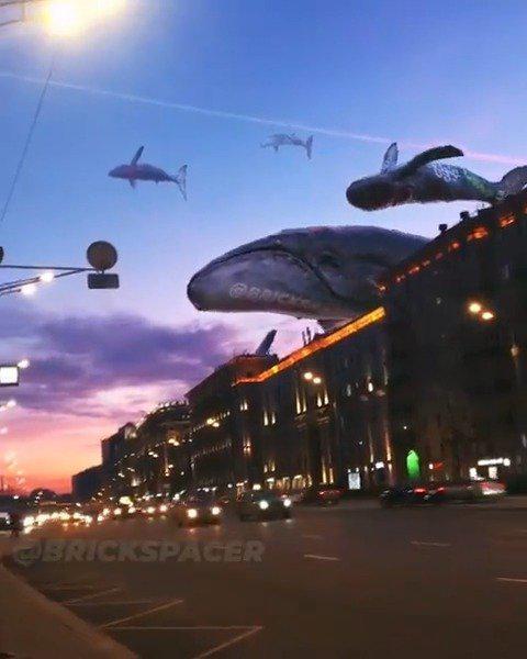 视觉团队 Brickspacer 创作的特效视频……_新浪新闻