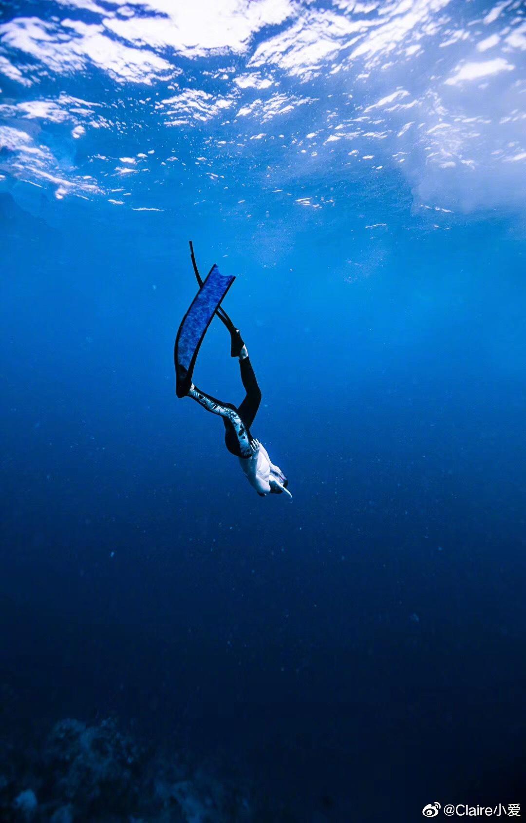 的自由潜水 Free diving 🧜🏻‍♀️ 谁说蓝色等于忧