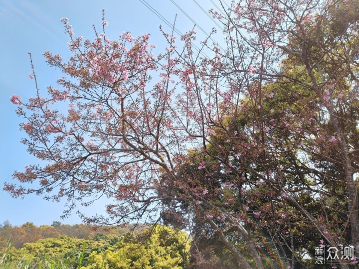 618值得入手的性價比機皇：一加Ace2體驗分享 - 新浪香港