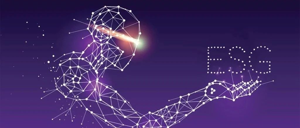 【专题】AI与ESG融合的应用场景与案例分析(5/5) - 对决策者的建议与启示|决策者|启示|可持续发展_新浪新闻