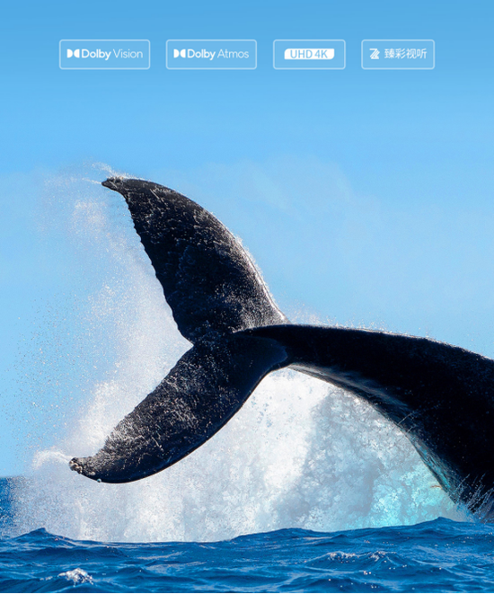 腾讯极光盒子4Pro首款WiFi6+杜比视界盒子首发预约已开启