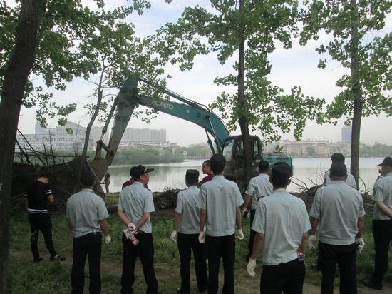 农户破坏绿化带湖边围垦种菜 城管联合执法进行查处手机新浪网 9505