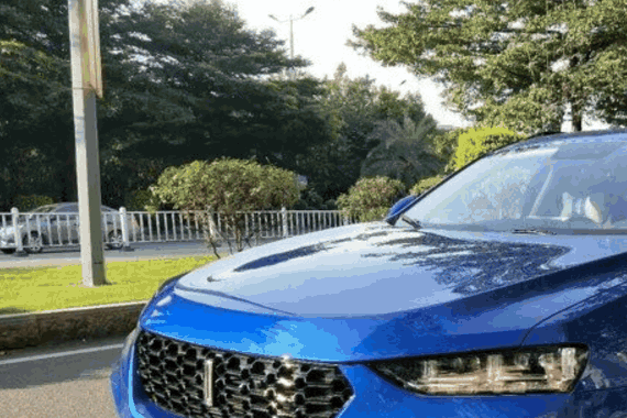 为什么放弃了传祺GS8选择WEY VV7? 看看车主是怎么说吧!-新浪汽车