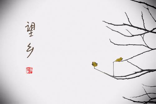 原创诗词:七言《思乡》