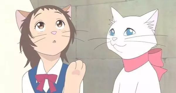 爱猫人士必看猫片：宫崎骏《猫的报恩》