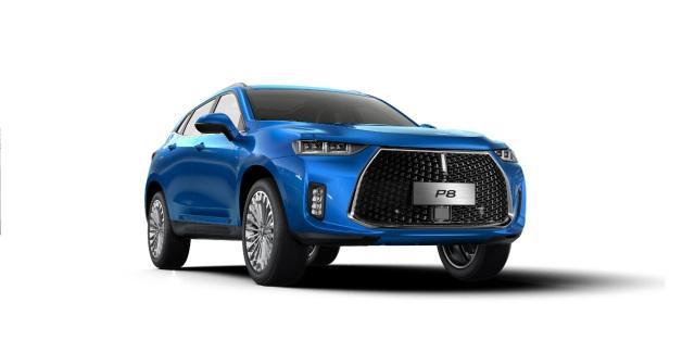 让 WEY P8 告诉你一个最真实的——Pi4-新浪汽车