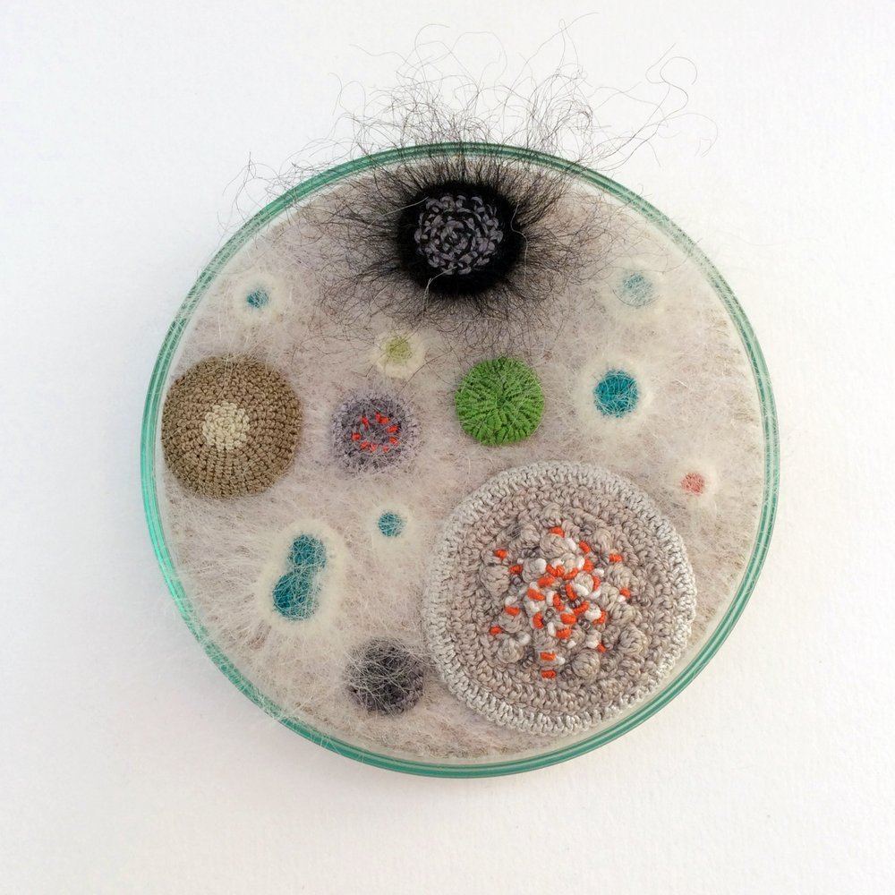 “生长”在纤维艺术培养皿中的刺绣细菌 | 英国纤维艺术家 Elin Thoma|纤维|培养皿|刺绣_新浪新闻