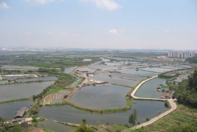 广州大岭村,深藏于珠江角落的历史文化名村 珠江 大岭 玉带河 新浪新闻