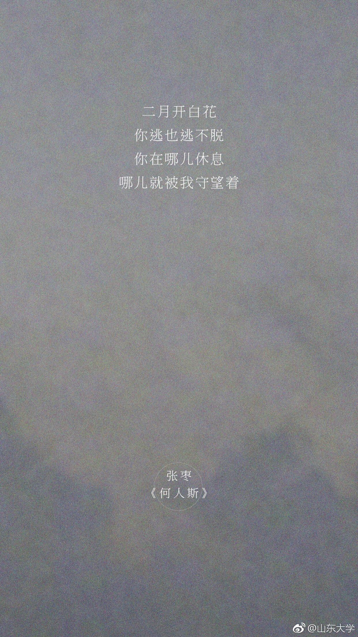 只要想起一生中后悔的事，梅花便落满了南山南山张枣麦麦新浪新闻