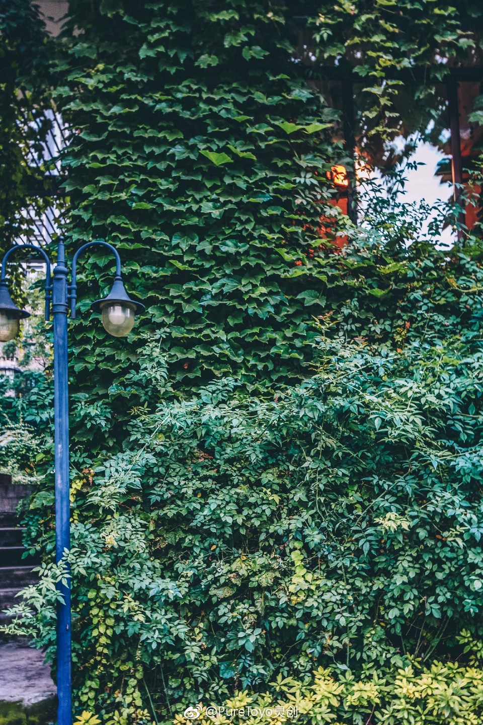 时光印记 N18 loft 小院|小院|印记|闹中取静_新浪新闻