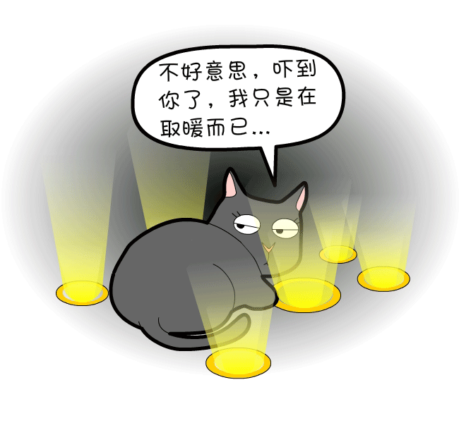 据说，60的流浪猫消失在冬天