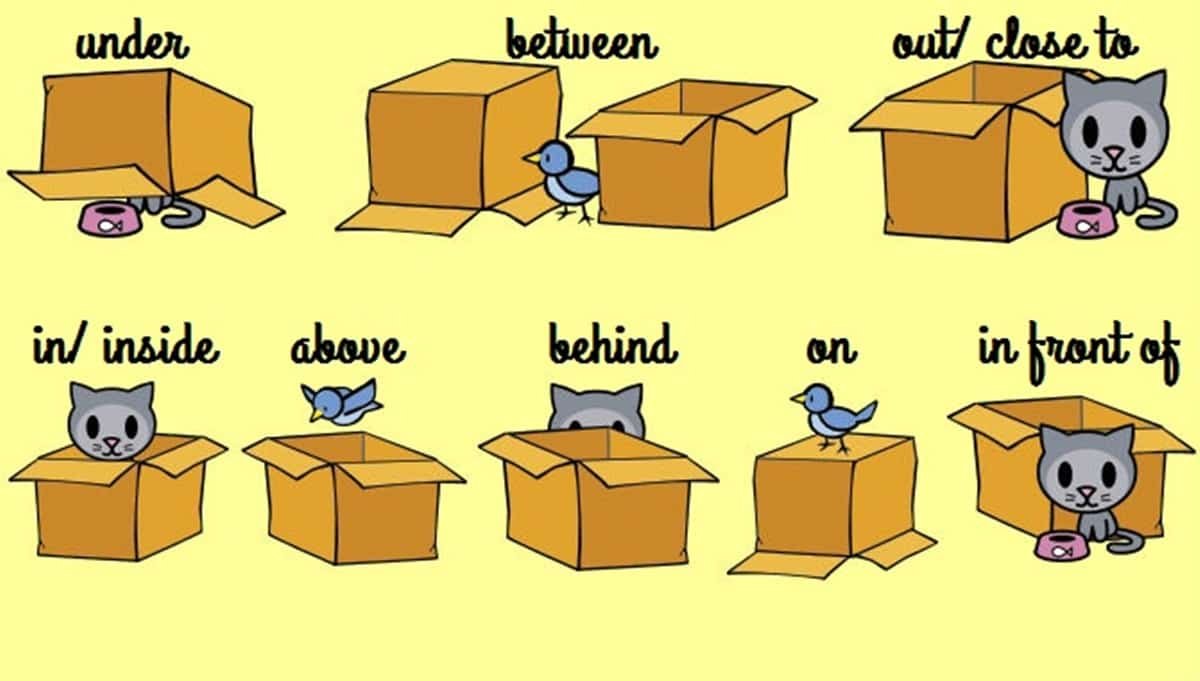 Prepositions Of Place Prepositions Of Place