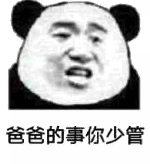 搞笑图片:熊猫头斗图表情包