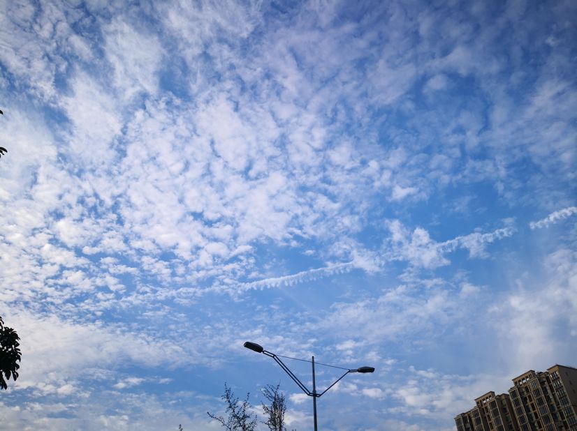 ifer 来信｜走花路时，我理解了那些蹭红毯的明星...|钻石_新浪新闻