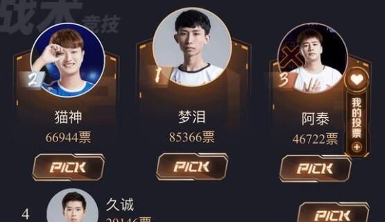 KPL吧热议：梦泪猫神阿泰力压uzi和厂长 游戏家盛典投票引争议|游戏家|阿泰|盛典_新浪新闻