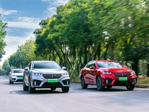 再度进军插混市场，WEY VV7 PHEV表现如何？-新浪汽车