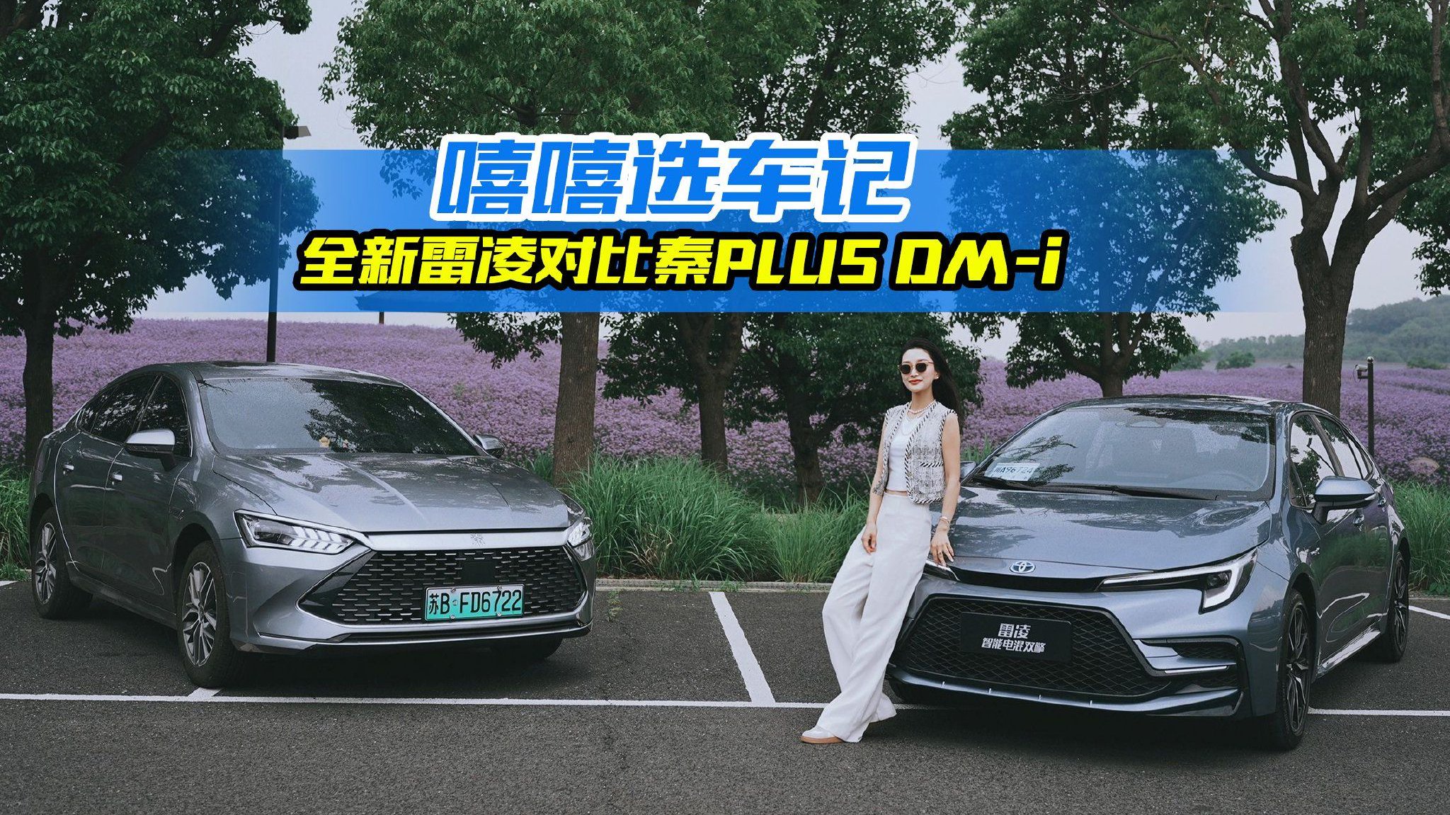 10万级紧凑型家轿怎么选?全新雷凌对比秦plus Dm I,我选择它 两车对比 紧凑级车导购 新能源 新浪新闻