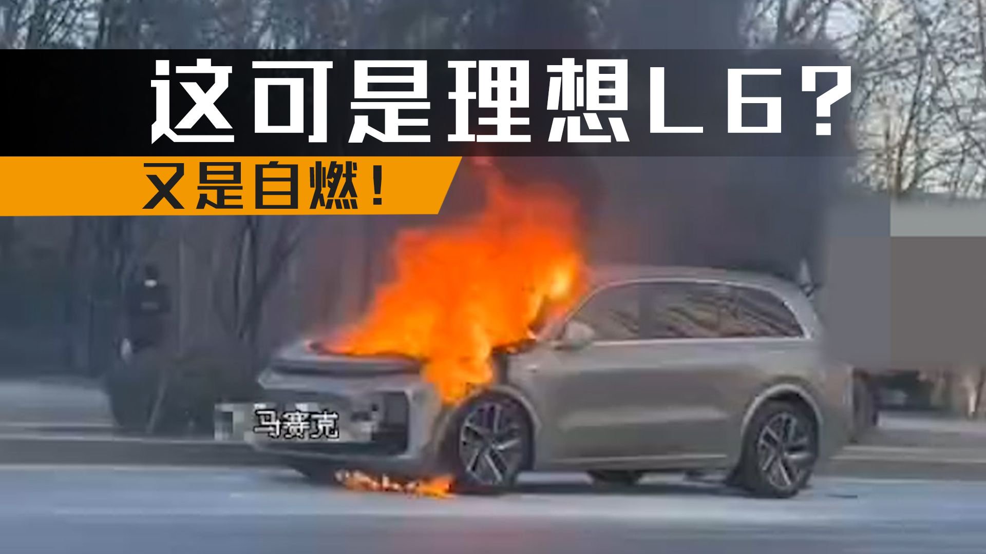 又是自燃！这可是理想L6？|用车心得|汽车视频|新能源_新浪新闻