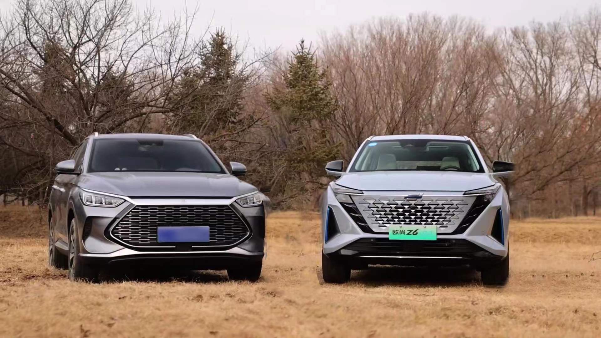 欧尚Z6 iDD对比宋PLUS DM-i，为什么巨蟹男更倾向欧尚Z6 iDD|两车对比|15-20万导购|新能源_新浪新闻