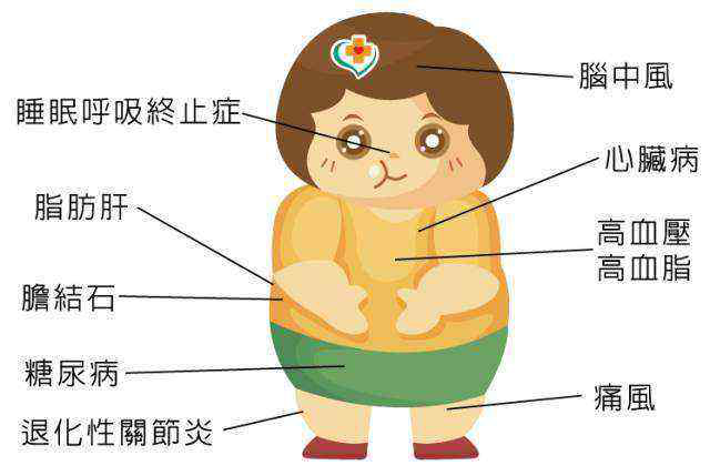 肥胖对我们的身体危害有多大?多囊卵巢综合征癌症身体新浪新闻