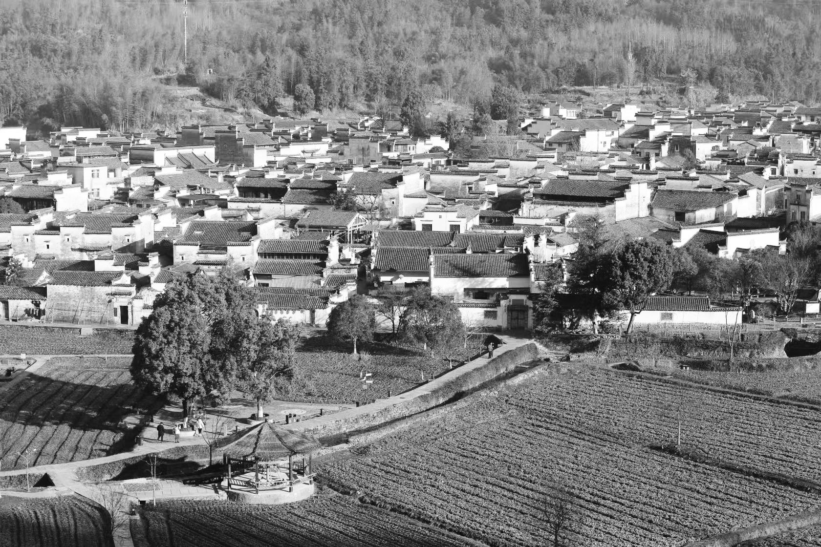 安徽黟县西递村:用传统文化绘制古村振兴新画卷