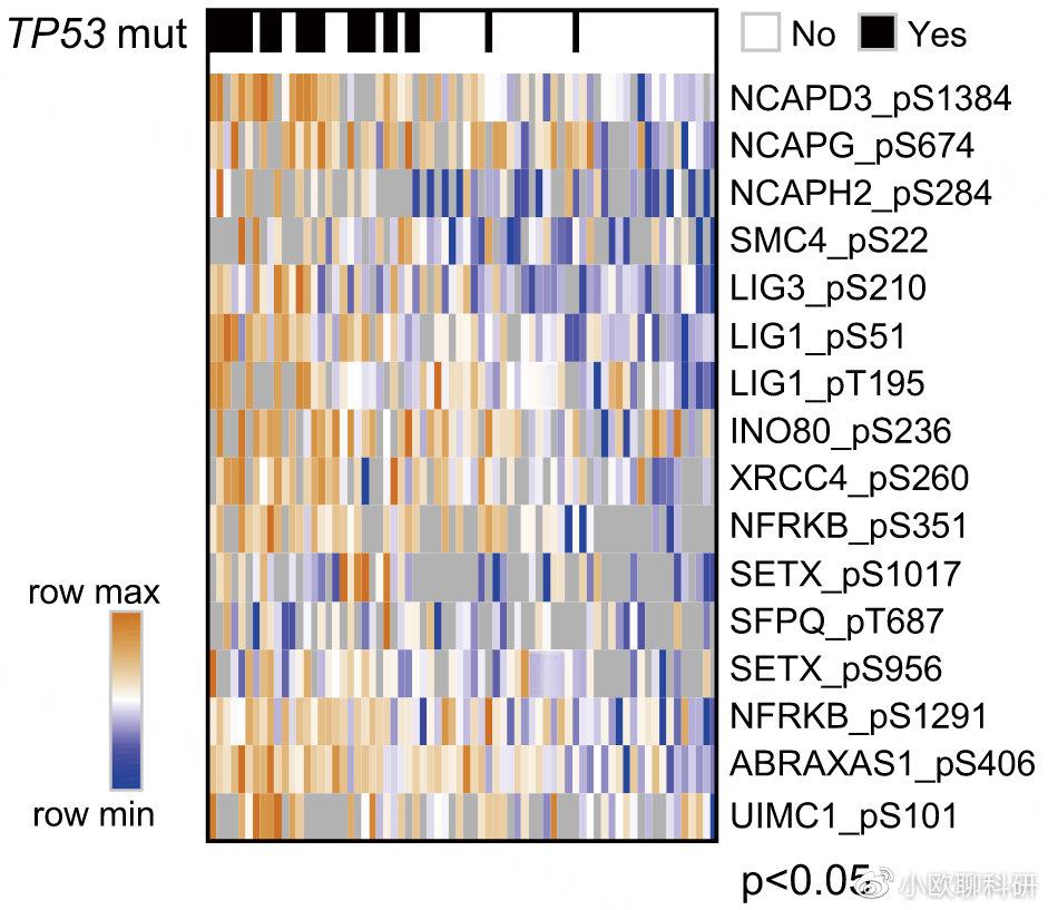 揭秘东亚非吸烟肺癌的蛋白质组学和基因组描述发病机制和进展特征