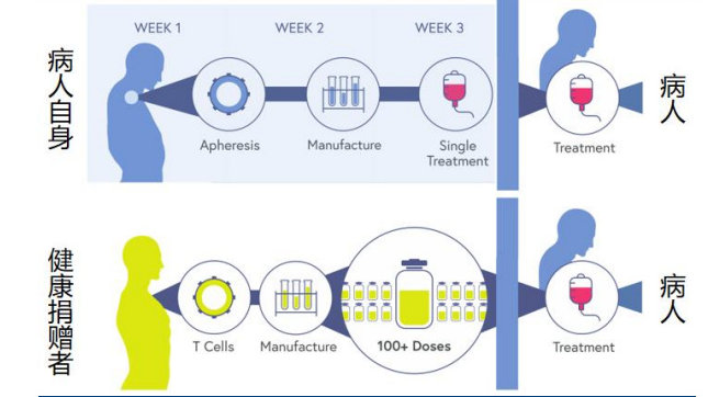 细胞治疗行业专题研究：异体CAR~T渐行渐近|CAR-T|异体|患者_新浪新闻