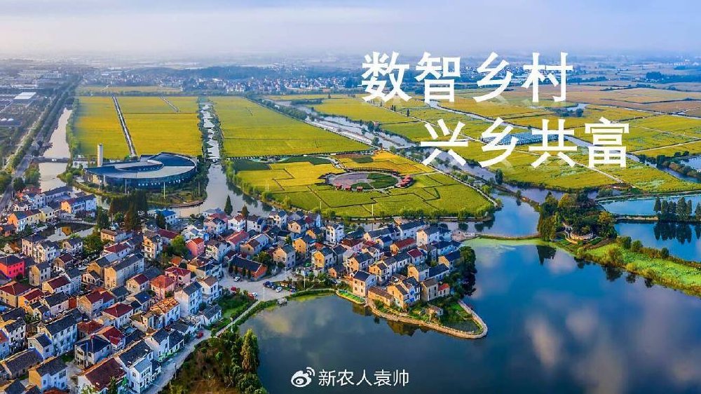 数智乡村 兴乡共富|AIGC成“新农具”数字人直播变“新农活”|数字人|乡村|农具|第一书记|农活_新浪新闻