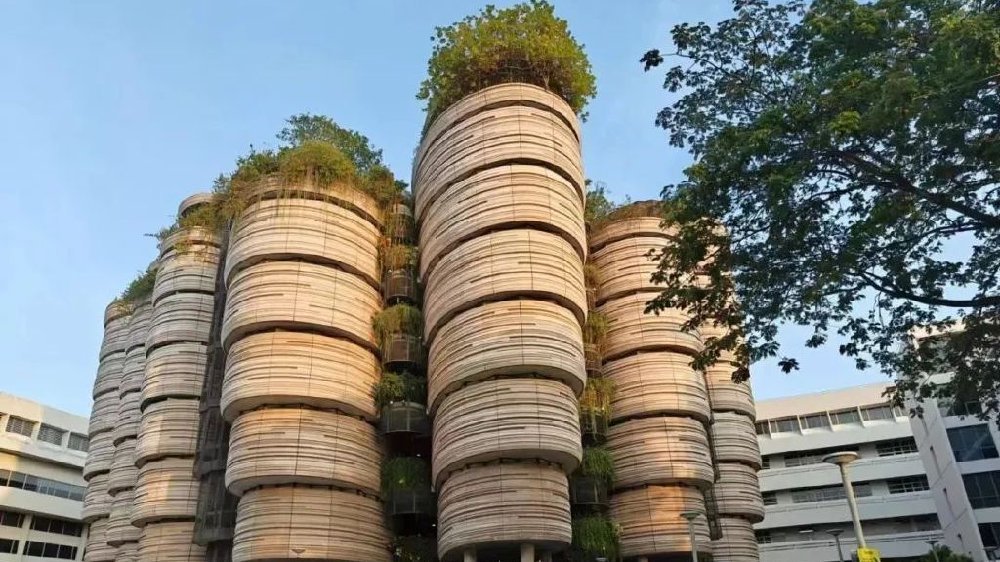 25fall 南洋理工大学（NTU）硕士申请条件及专业汇总|南洋理工大学|学科|南大_新浪新闻