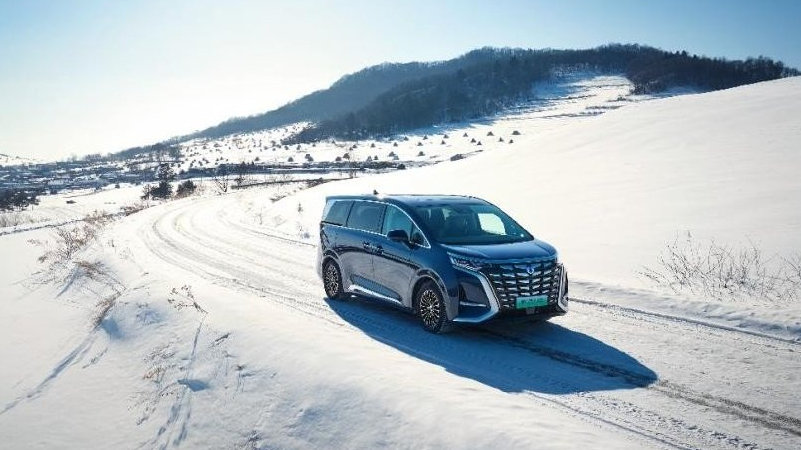 不惧“公路高铁”，2024款腾势D9上市，33.98万起卷出新高度-新浪汽车