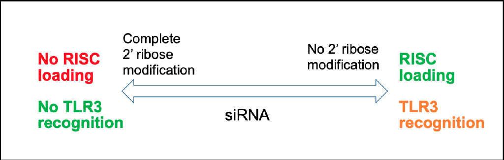 乙肝寡核苷酸类药物，Replicor科学家介绍，ASO/siRNA作用机制|土拨鼠|寡核苷酸|乙肝_新浪新闻