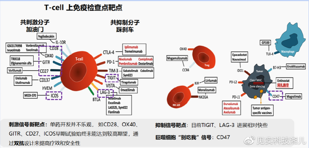 盘点 TIGIT 抑制剂前世今生，敢问路在何方？|抗癌|肺癌|抑制剂_新浪新闻