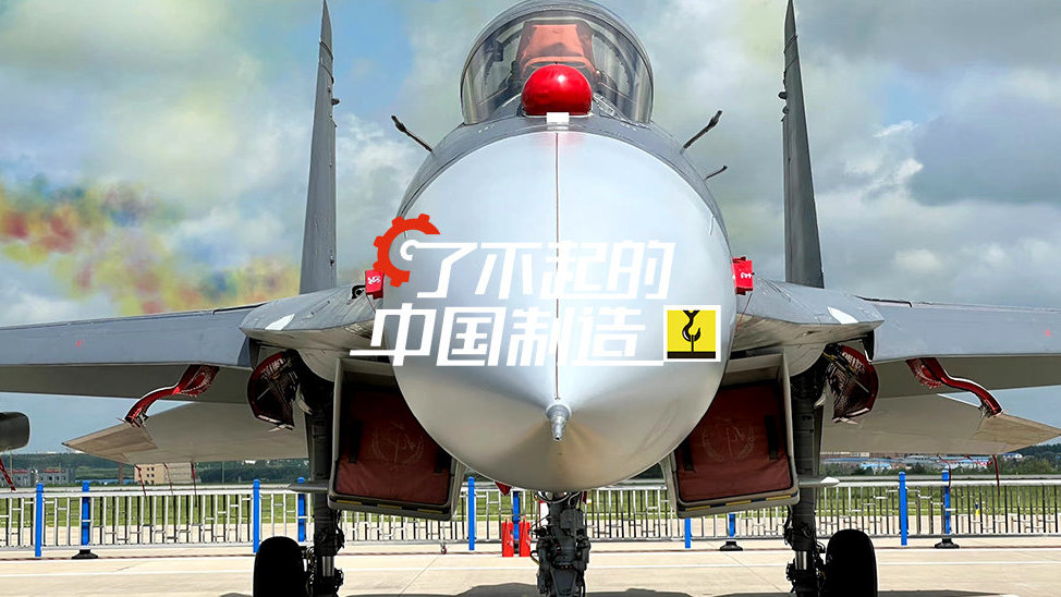 “白头红鼻”歼-11BG，会是最强空优“侧卫”吗？|苏-27|歼-11B_新浪新闻