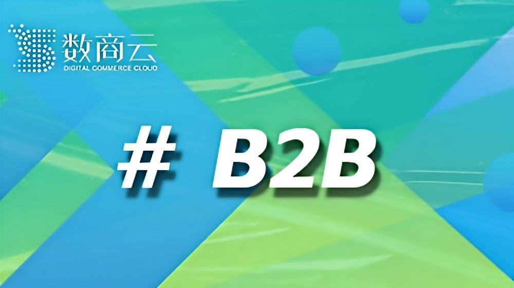 未来已来！数商云定义B2B/S2B2B/S2B2C平台新标准！|B2B平台|供应商|采购商_新浪新闻