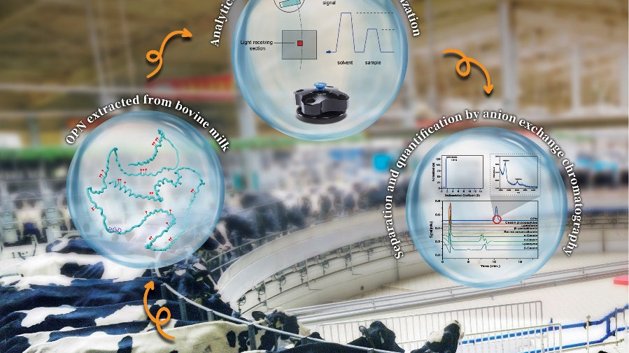 顶级行业期刊JAFC封面报道，飞鹤OPN研究再获国际认可|飞鹤|蛋白|期刊_新浪新闻