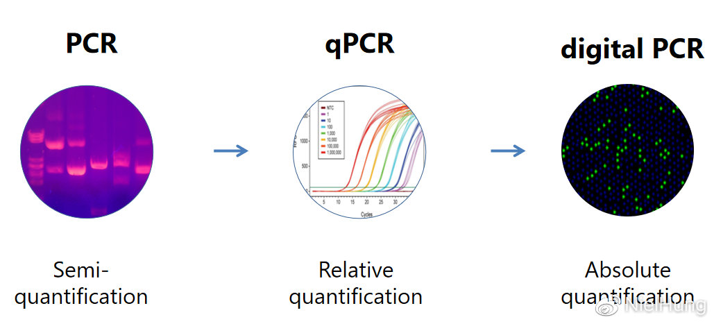 达安科普：详解新冠核酸快速检测PCR技术的三代不同！