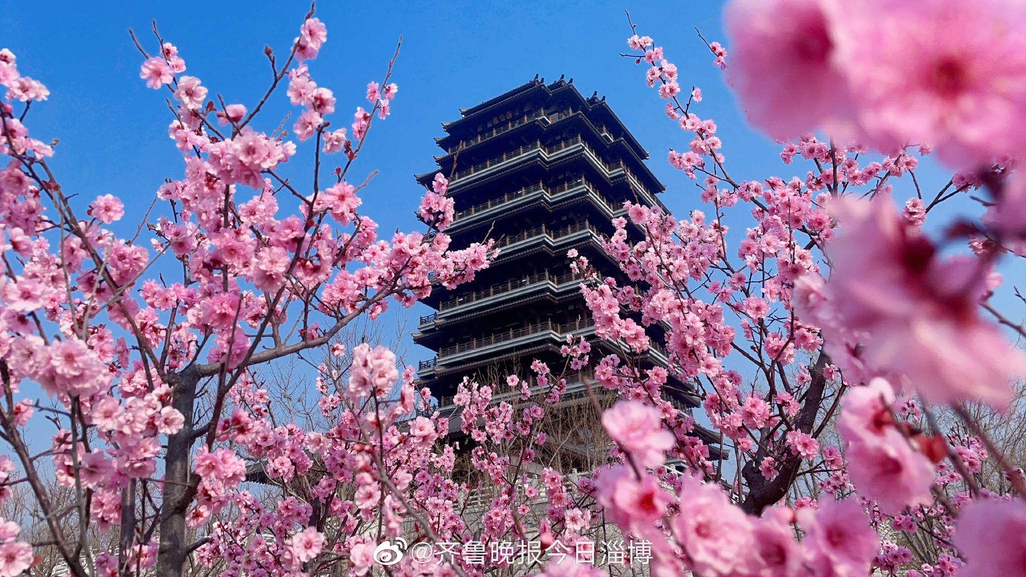 万物新生，淄博齐盛湖的春如约而至