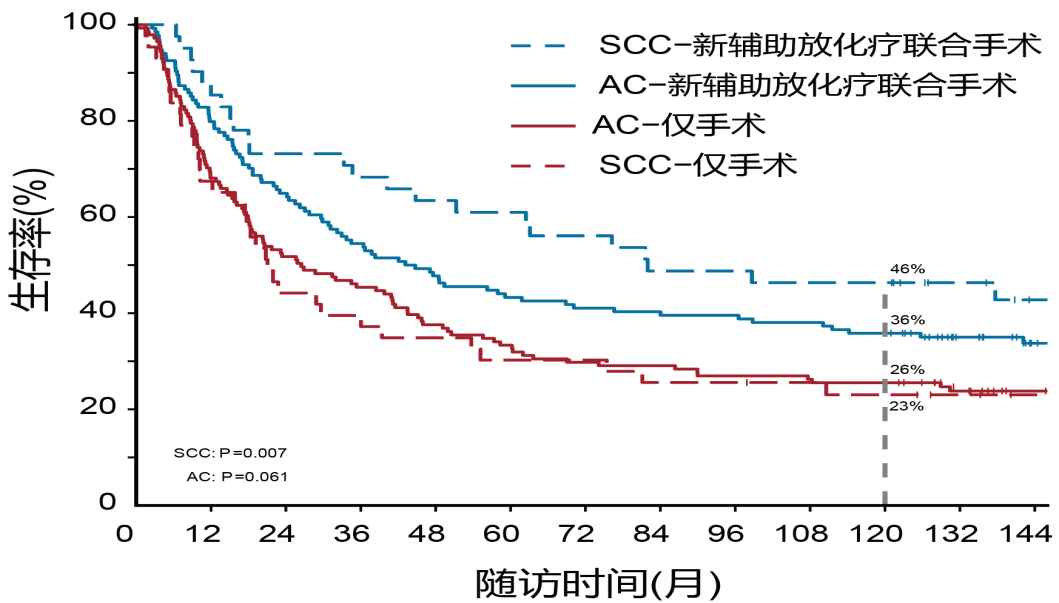 点评CROSS研究10年结果及CheckMate 577