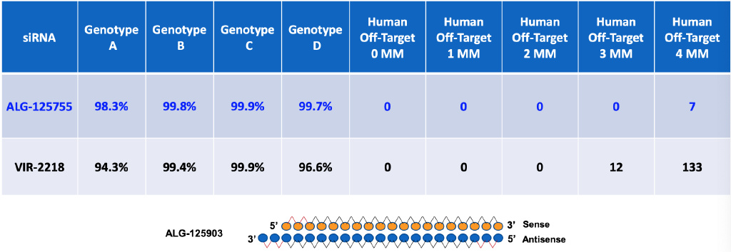 乙肝寡核苷酸创新思路，Aligos早期经验，ASO/siRNA/STOP优化路径