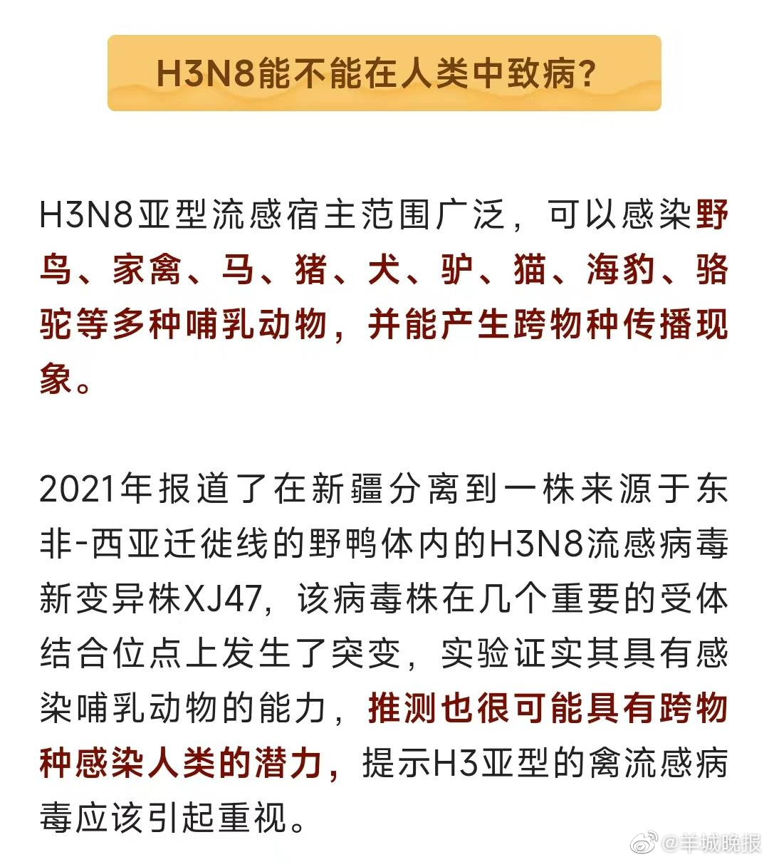 H3N8是一种什么病毒