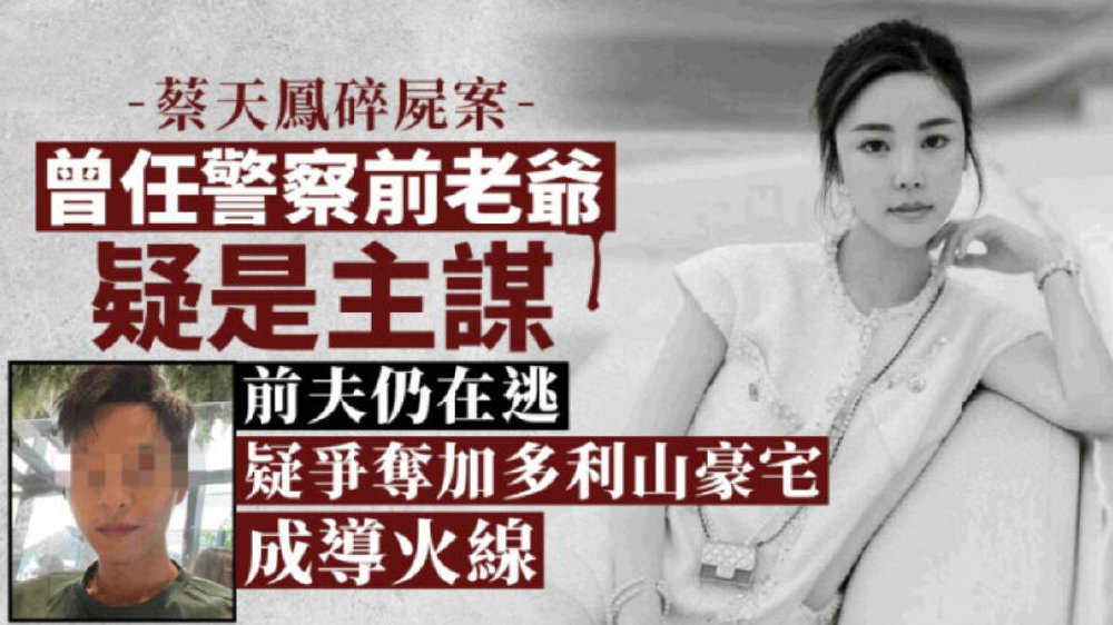 名媛蔡天凤被杀后续,前警长公公主谋肢解烹尸,在逃前夫样貌公开 前夫 警长 公公 新浪新闻