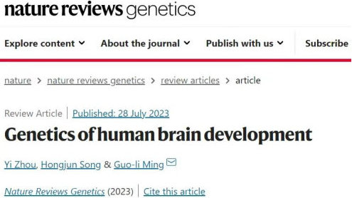 Nat Rev Genet综述：明国莉院士团队总结人类大脑发育的遗传学奥秘|人类|明国莉|大脑_新浪新闻