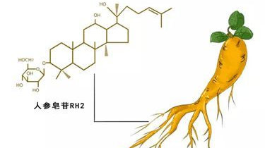 相比多组分人参皂苷，单体人参皂苷Rh2、Rg3差在哪里？|人参皂苷|单体|功效_新浪新闻