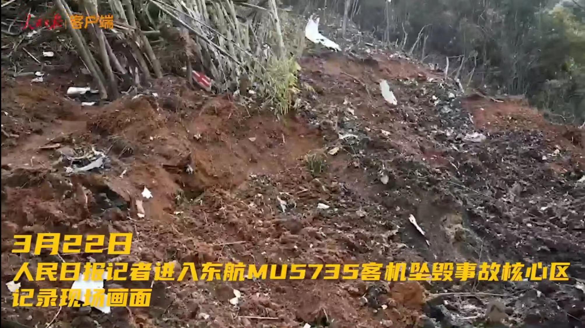 东航空难丨 MU5735坠机核心区现场画面|事故|核心区|视觉_新浪新闻