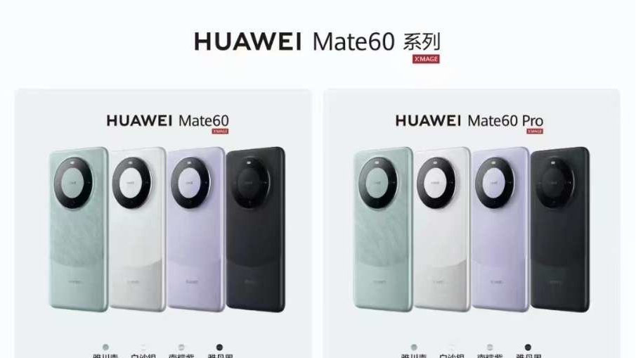 相差1000元，华为Mate60/Mate60 Pro全面来袭，一文看懂有啥不同|华为|标准版|机型_新浪新闻
